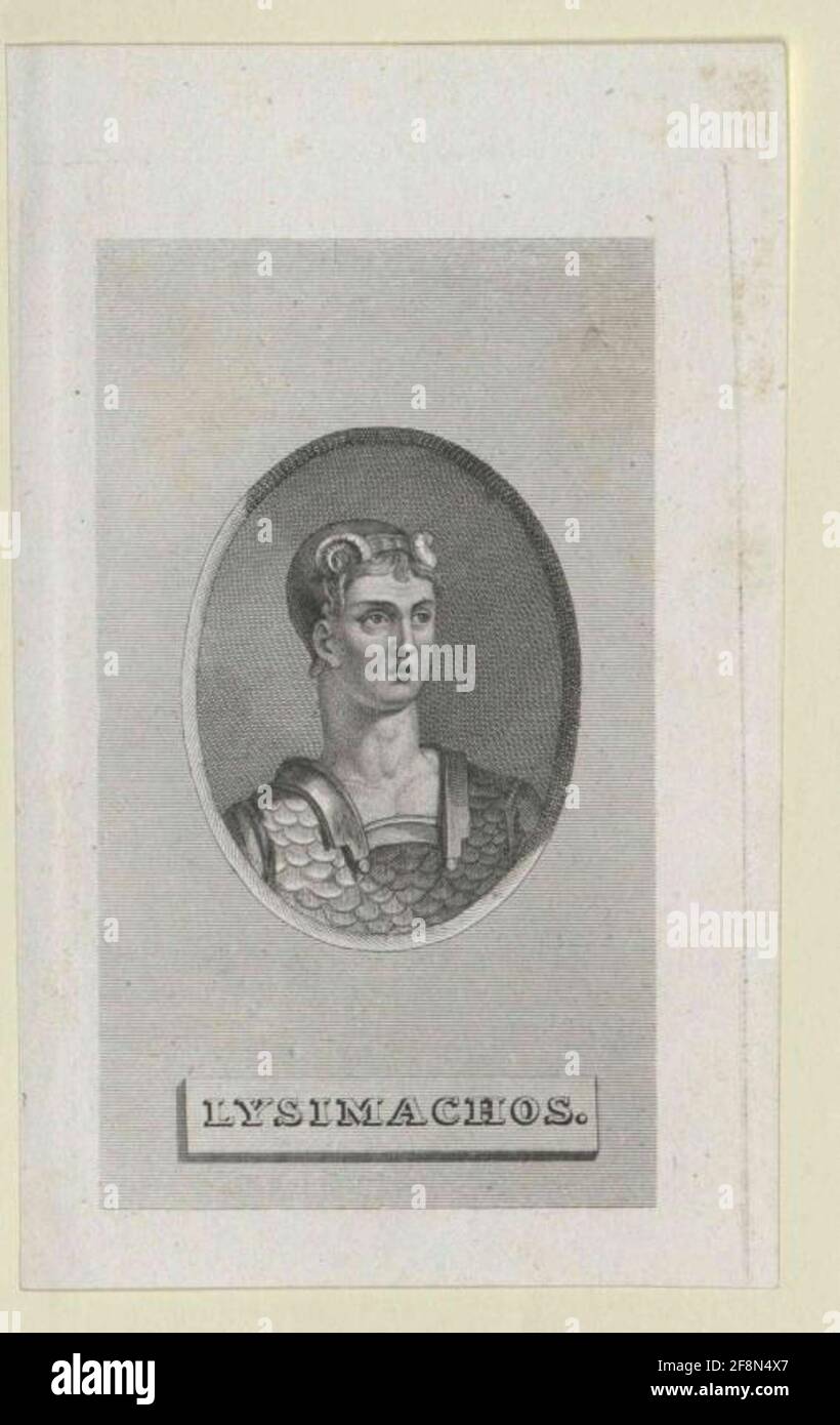 Lysimachus hi-res stock photography and images - Alamy