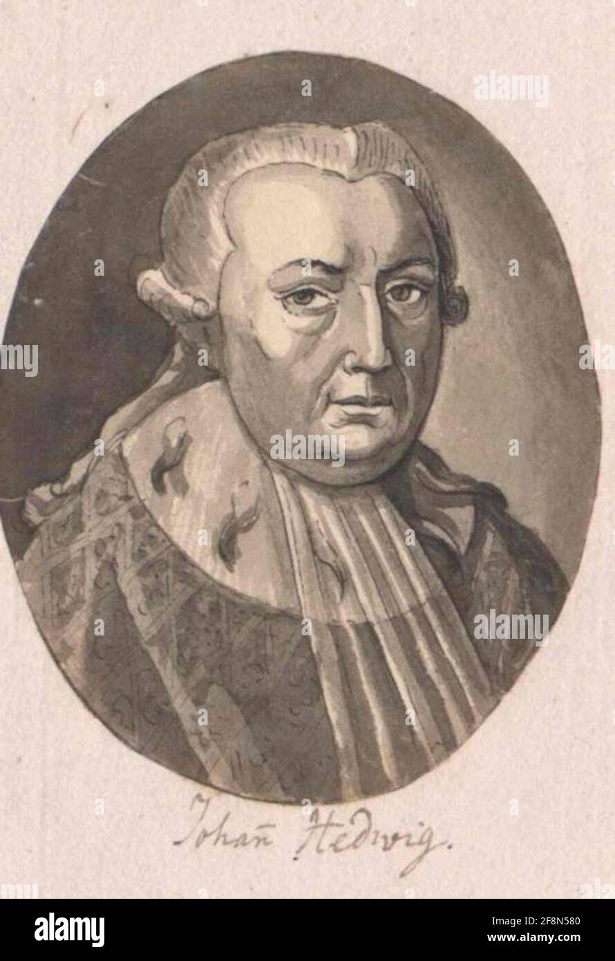 Hedwig hi-res stock photography and images - Alamy