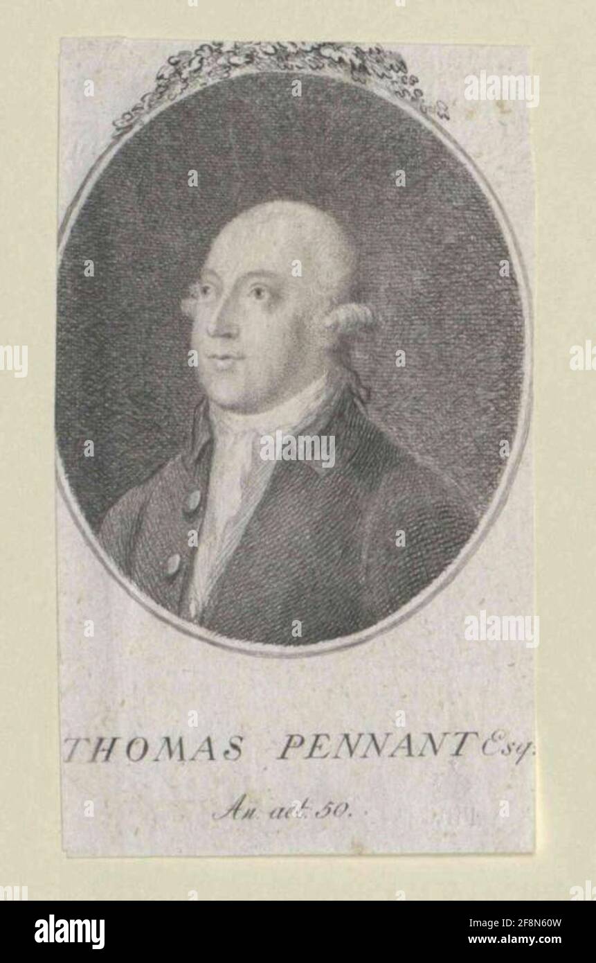 Pennant thomas hi-res stock photography and images - Alamy