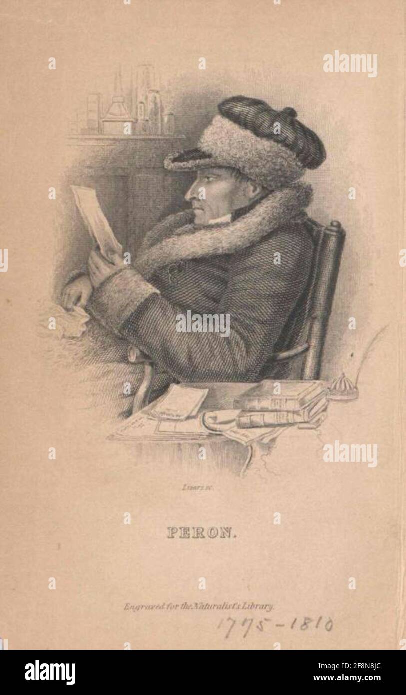 Francois peron hi-res stock photography and images - Alamy