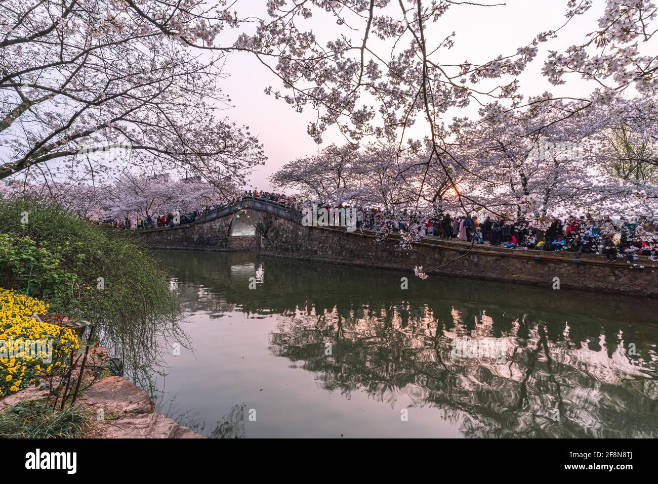 Tai lake wuxi hi-res stock photography and images - Alamy