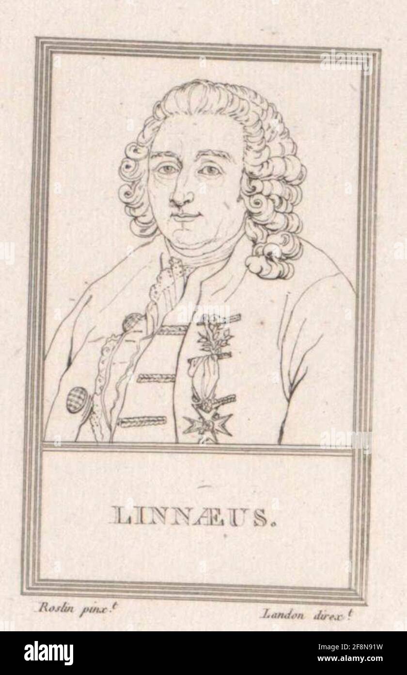 Linné, Charles of Stock Photo - Alamy