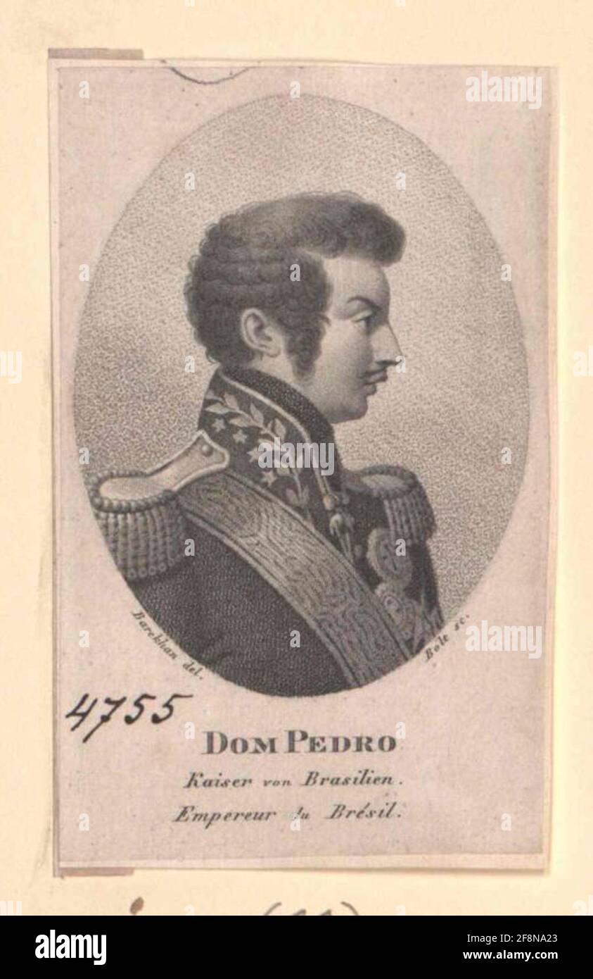 Peter I, Kaiser of Brazil Stock Photo - Alamy