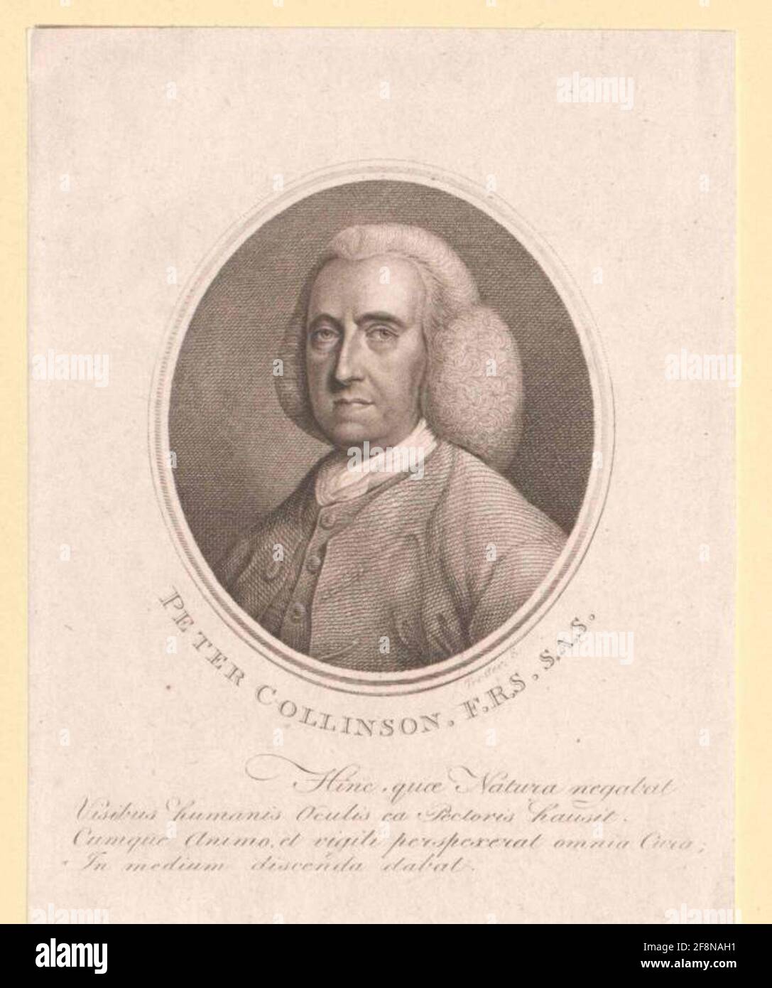 Peter Collinson High Resolution Stock Photography and Images - Alamy