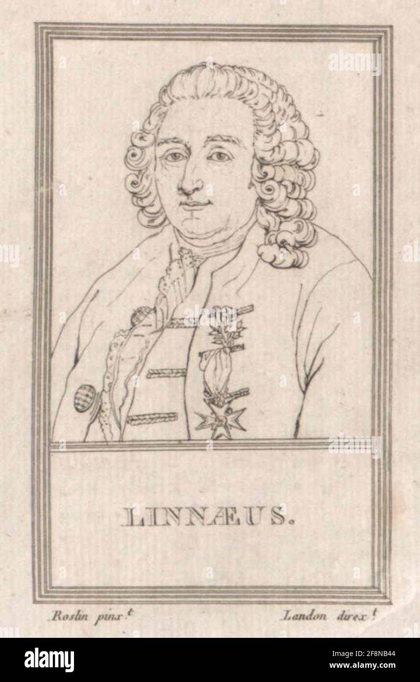 Linné, Charles of Stock Photo - Alamy