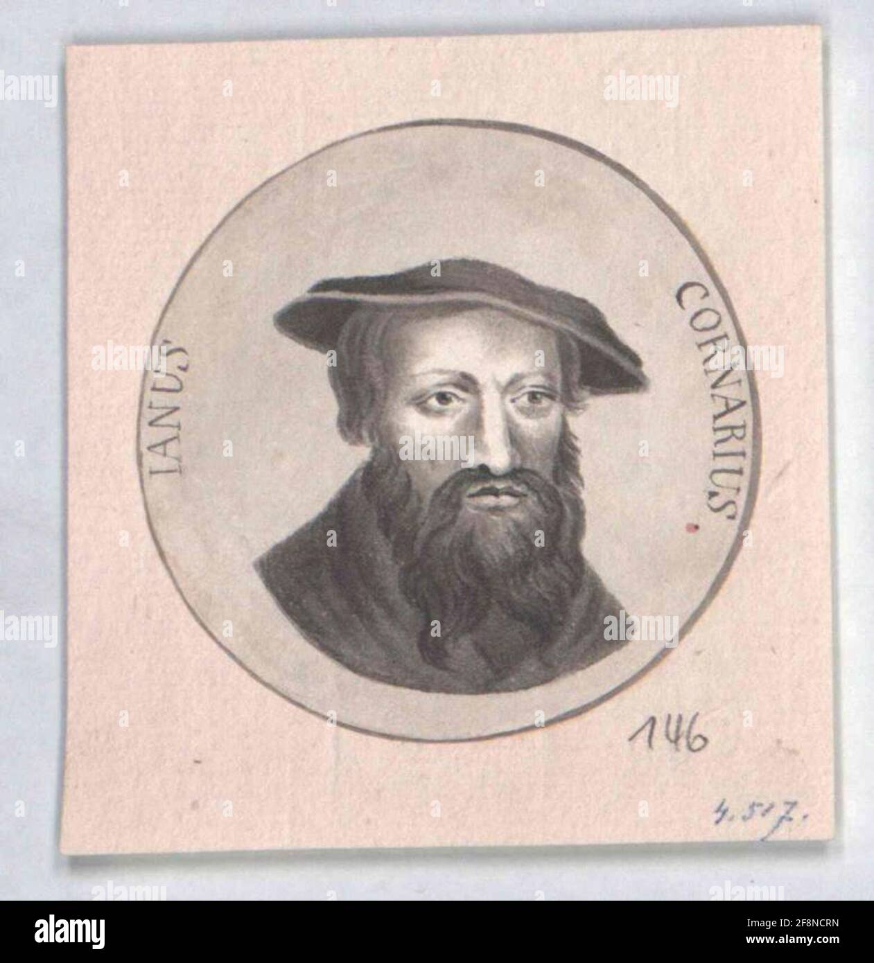 Cornarius hi-res stock photography and images - Alamy