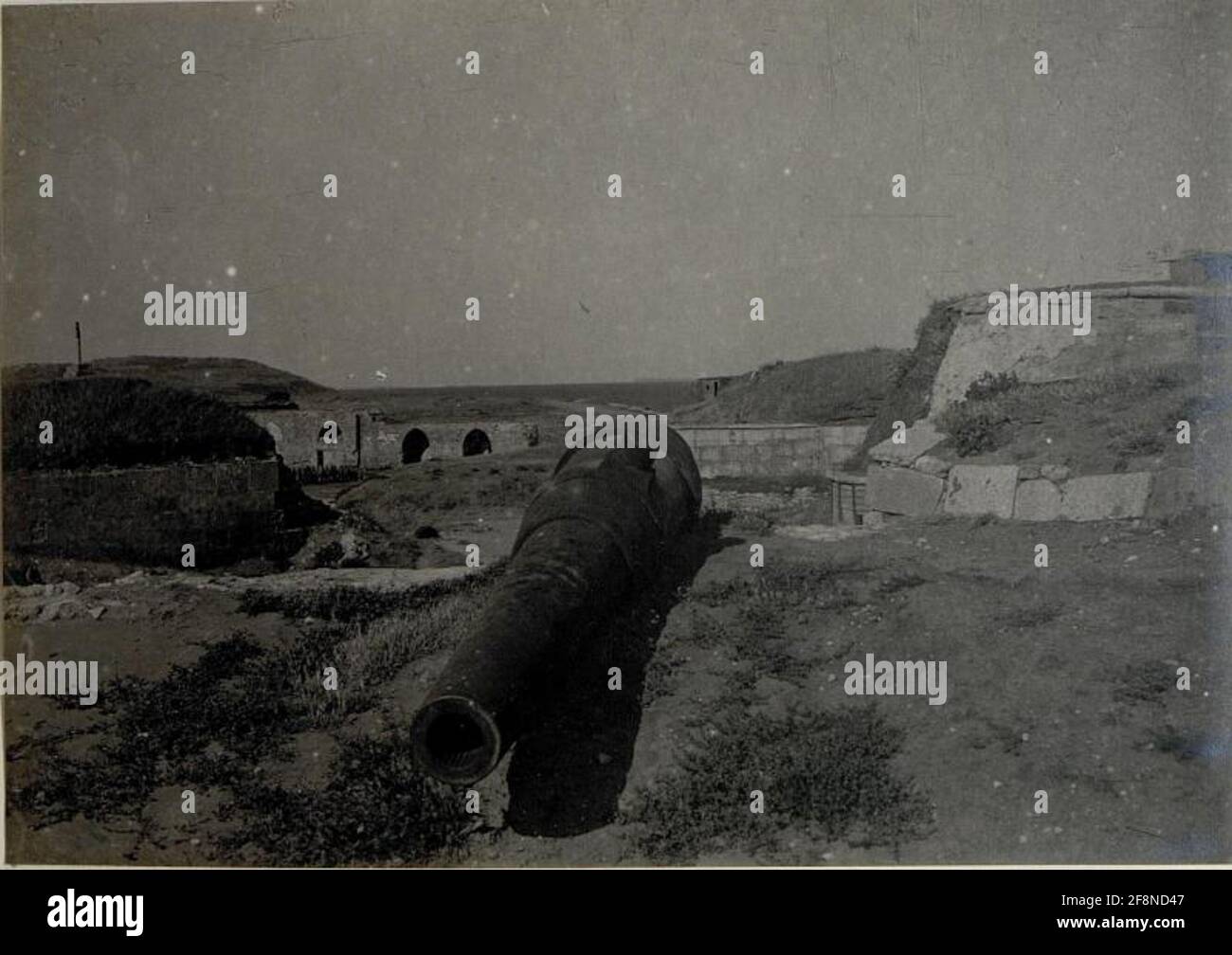 Calit hi-res stock photography and images - Alamy