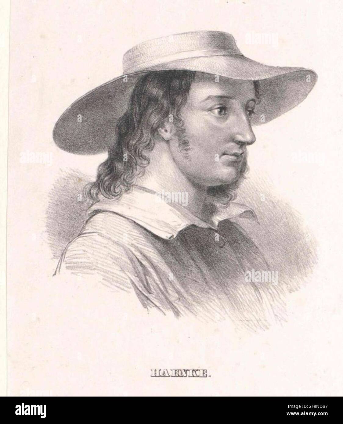 Thaddius hi-res stock photography and images - Alamy