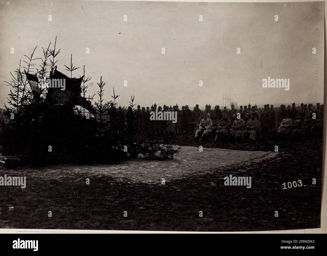 Emperor Wilhelm II. Birthday celebration in Vladimir Wolinsky Stock ...