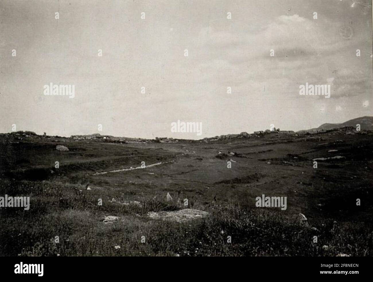 Byllis hi-res stock photography and images - Alamy