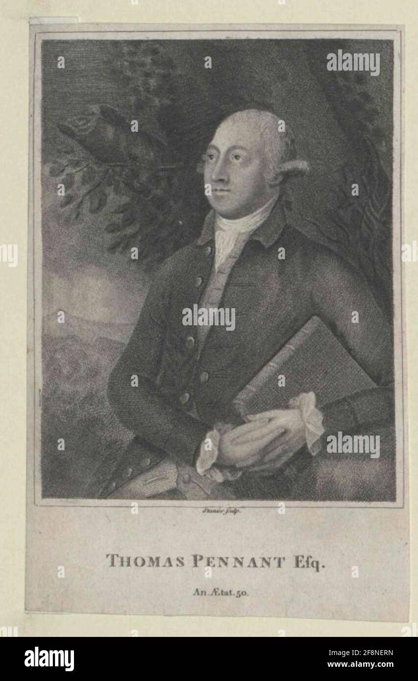 Pennant thomas hi-res stock photography and images - Alamy