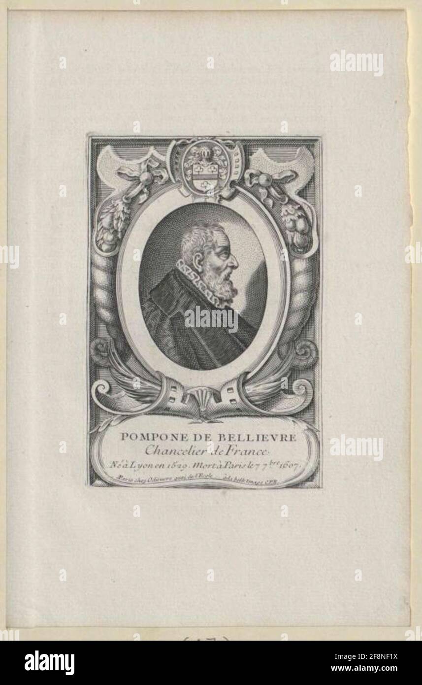 Pompone hi-res stock photography and images - Alamy