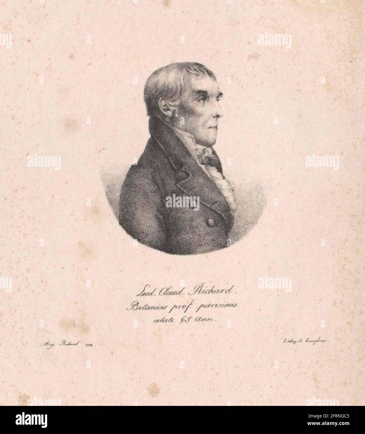 Louis claude marie richard hi-res stock photography and images - Alamy