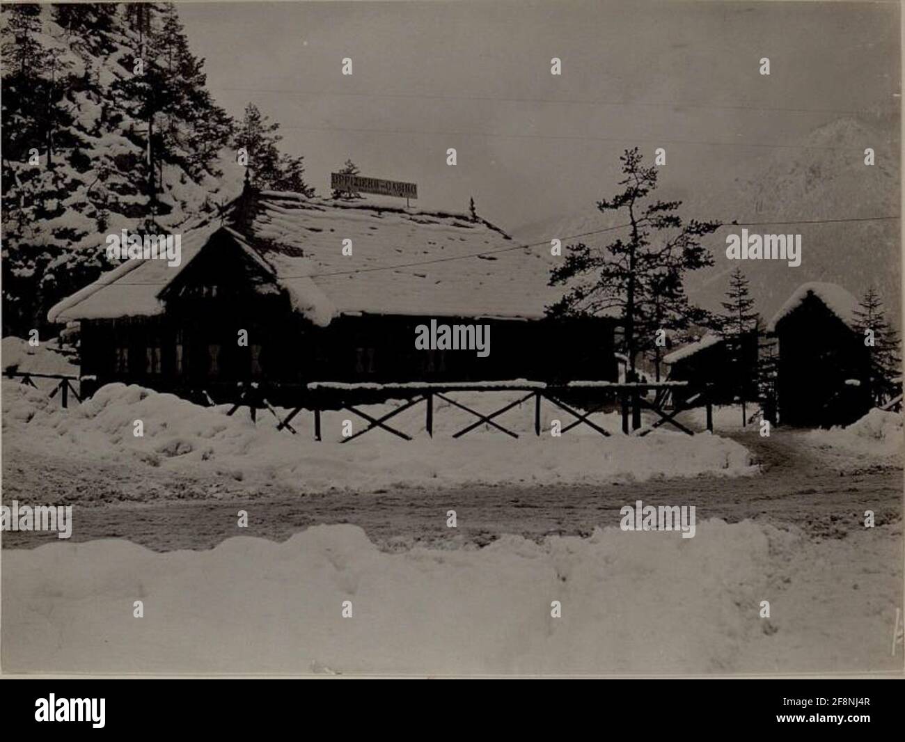 Nebria hi-res stock photography and images - Alamy