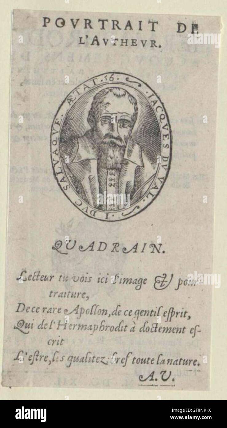 Jacques duval hi-res stock photography and images - Alamy