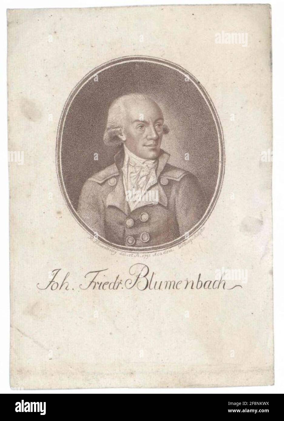 Blumenbach, Johann Friedrich Stock Photo - Alamy