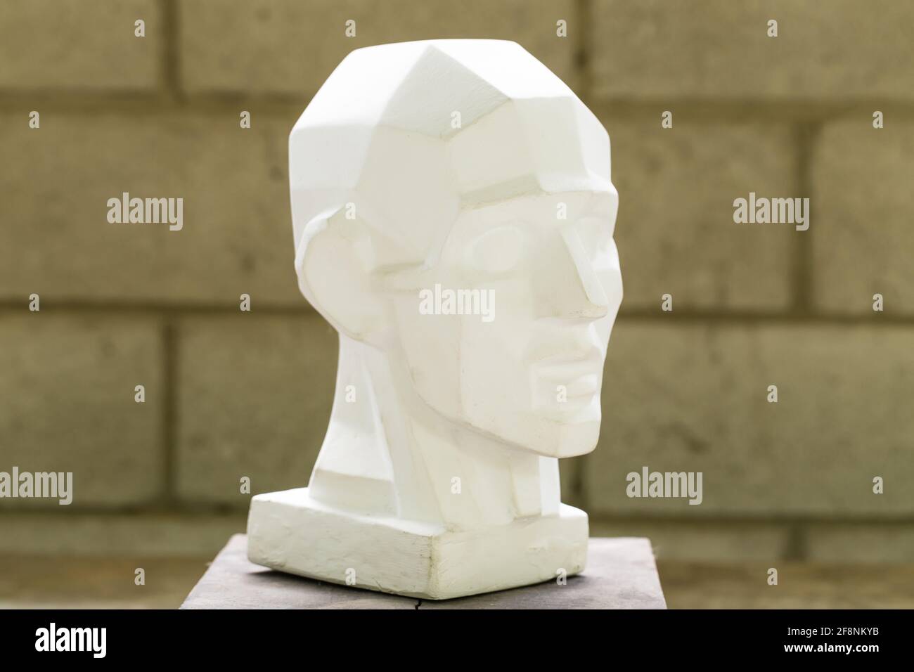 Tutorial primitive plaster head model with selective light. Front view ...