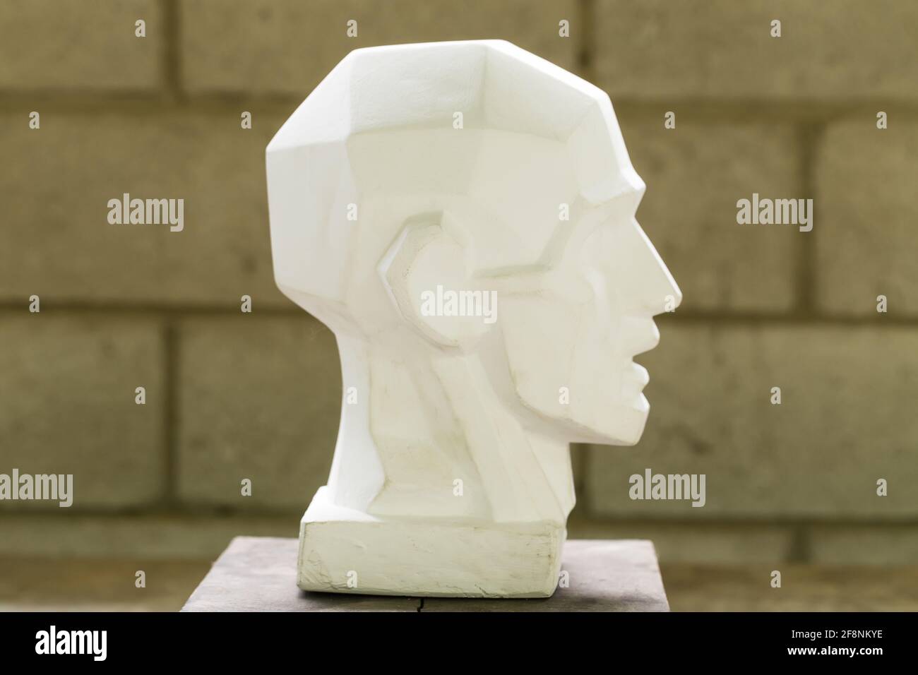 Tutorial primitive plaster head model with selective light. Front view ...