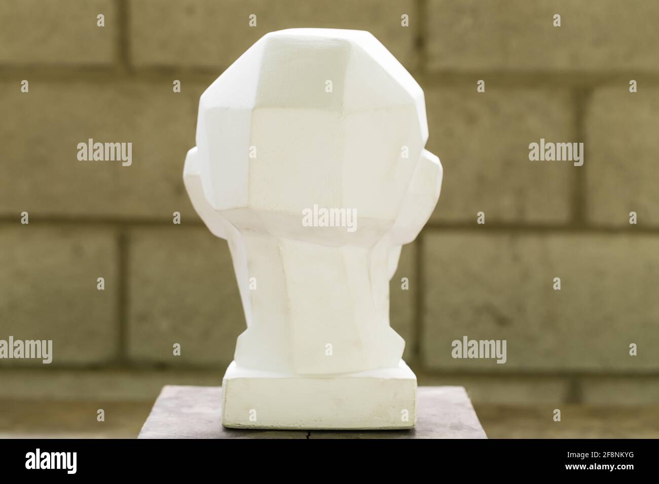 Tutorial primitive plaster head model with selective light. Front view ...