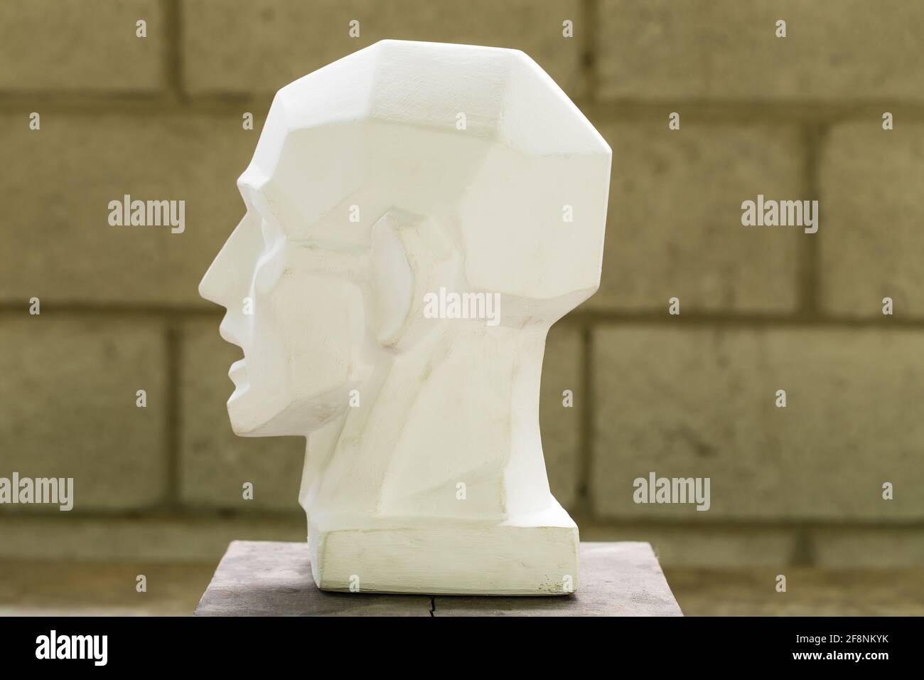 Tutorial primitive plaster head model with selective light. Front view ...