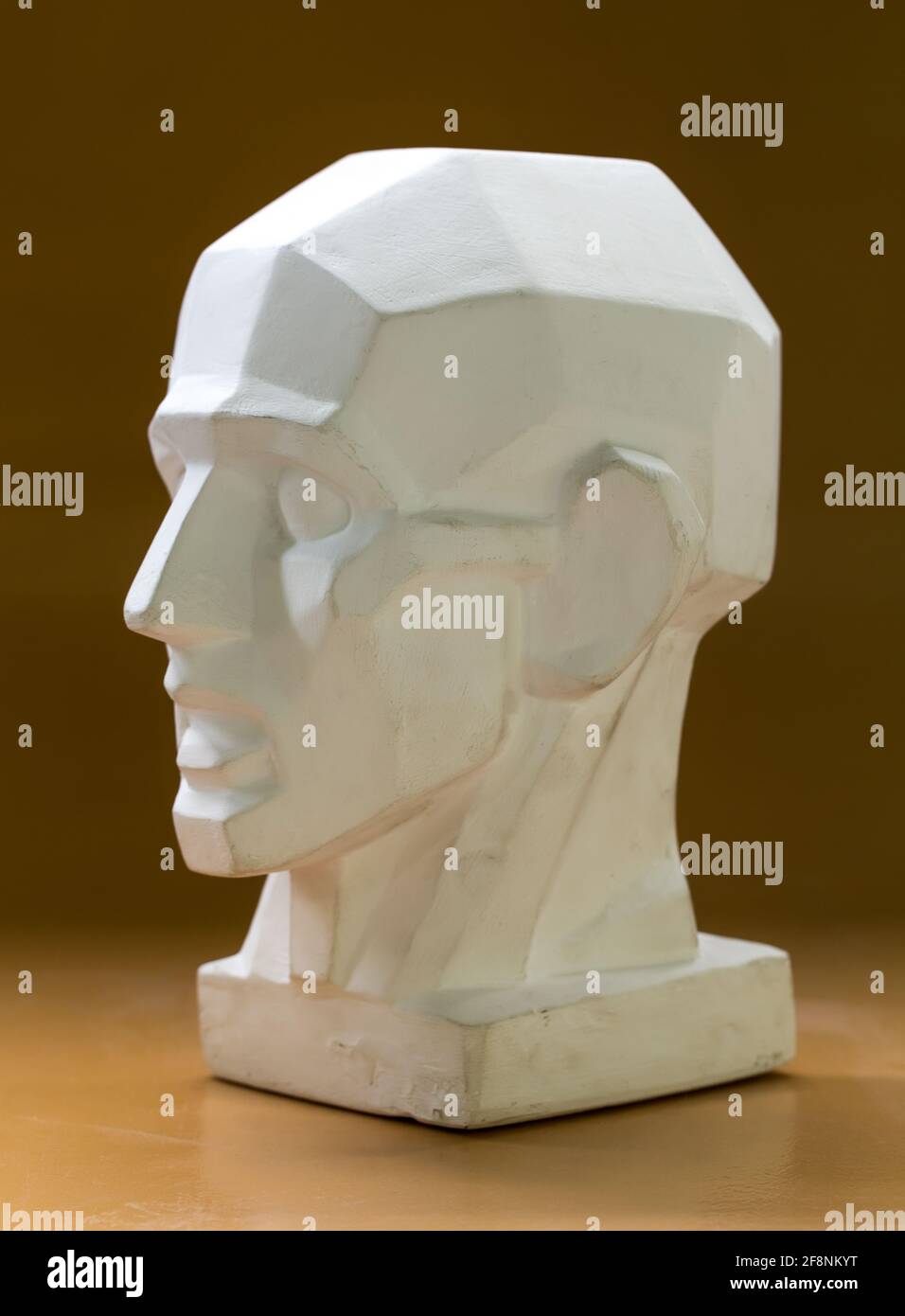 Tutorial primitive plaster head model. Side view. Located against wall ...