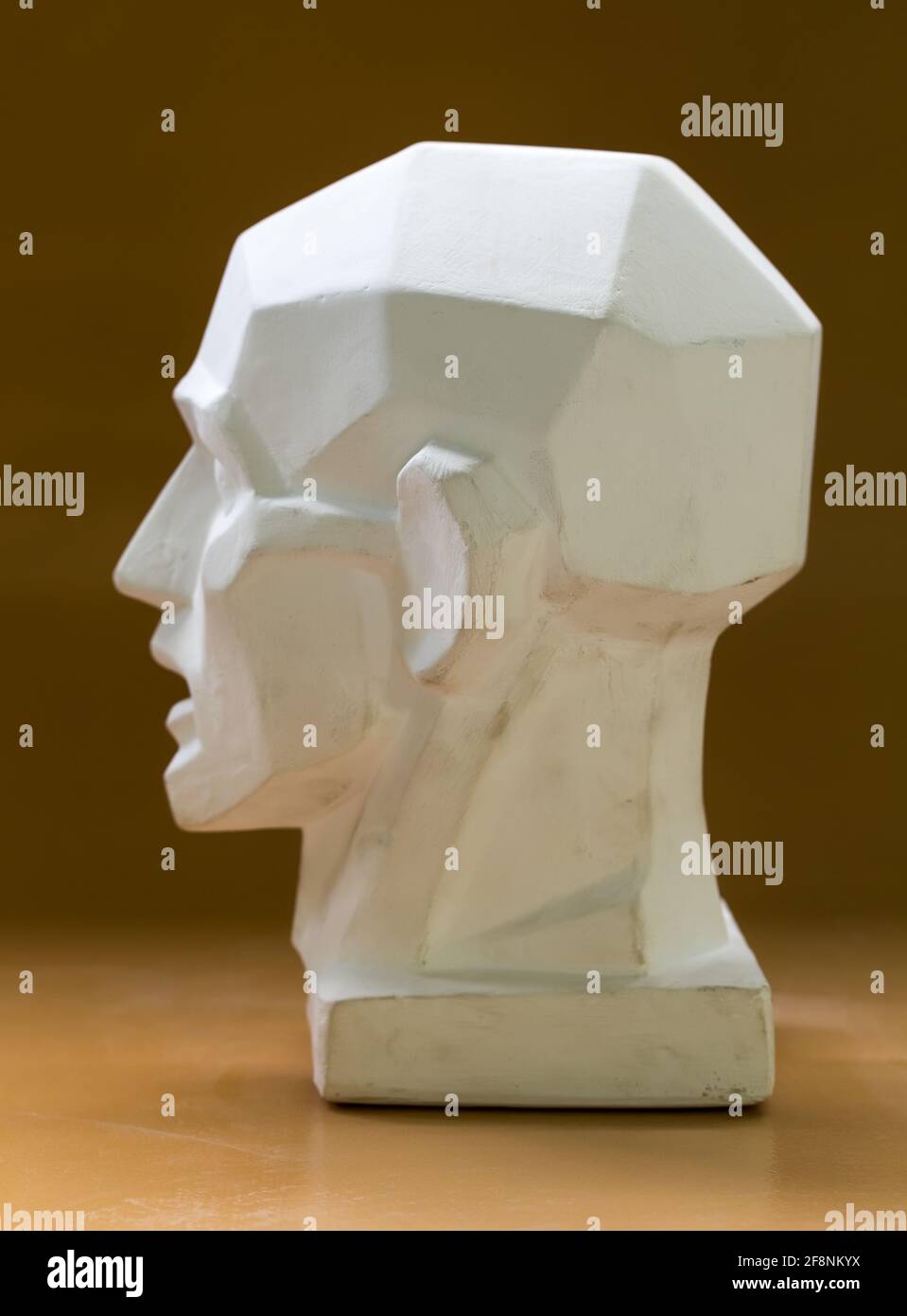 Tutorial primitive plaster head model. Side view. Located against wall ...