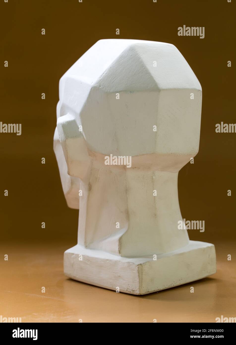 Tutorial primitive plaster head model. Back view. Located against wall ...