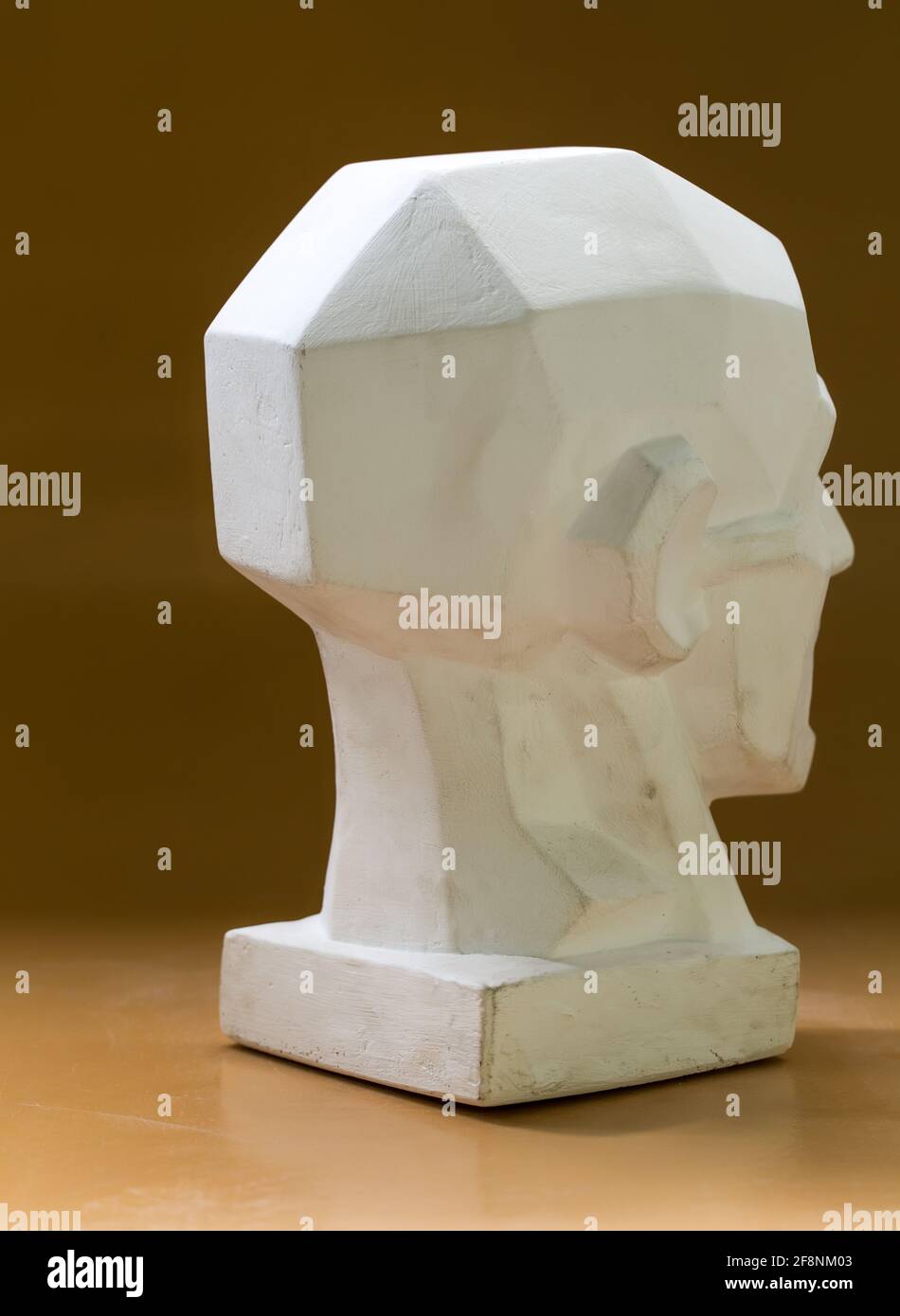 Tutorial primitive plaster head model. Back view. Located against wall ...