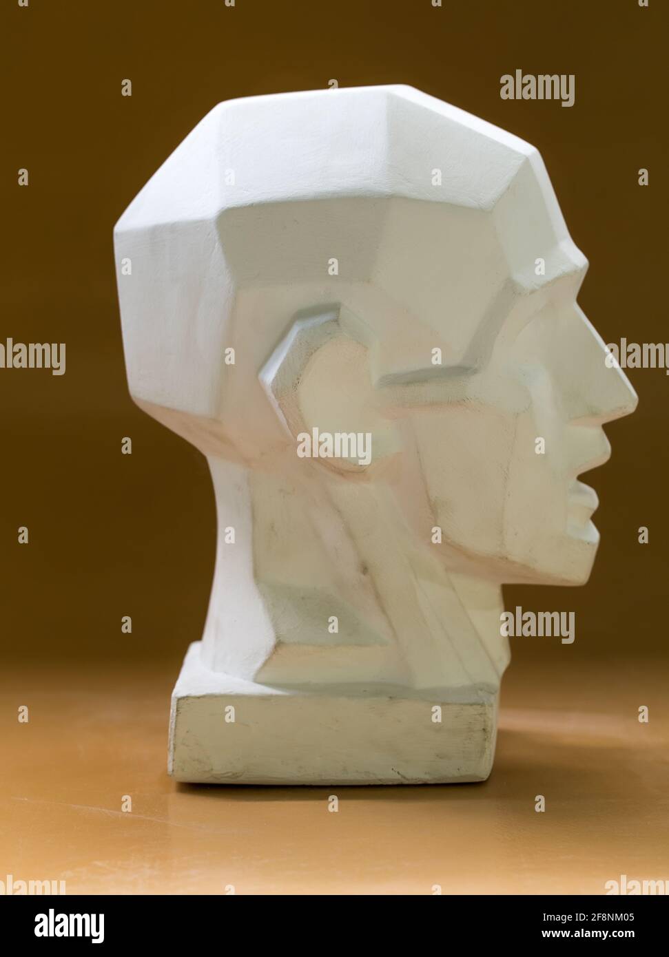 Tutorial primitive plaster head model. Side view. Located against wall ...