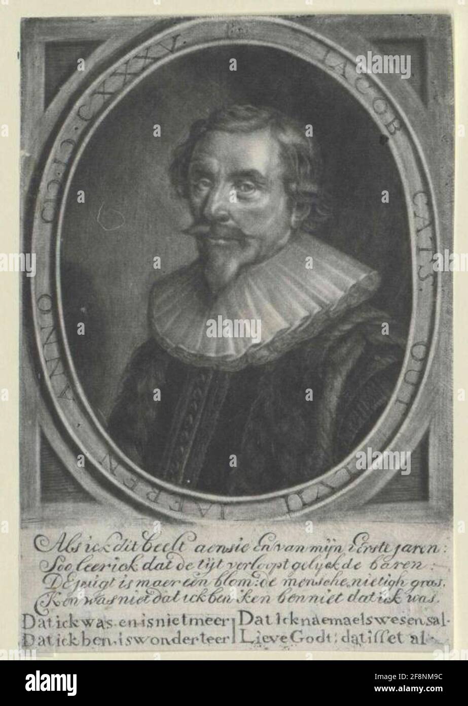 Cats jacob hi-res stock photography and images - Alamy