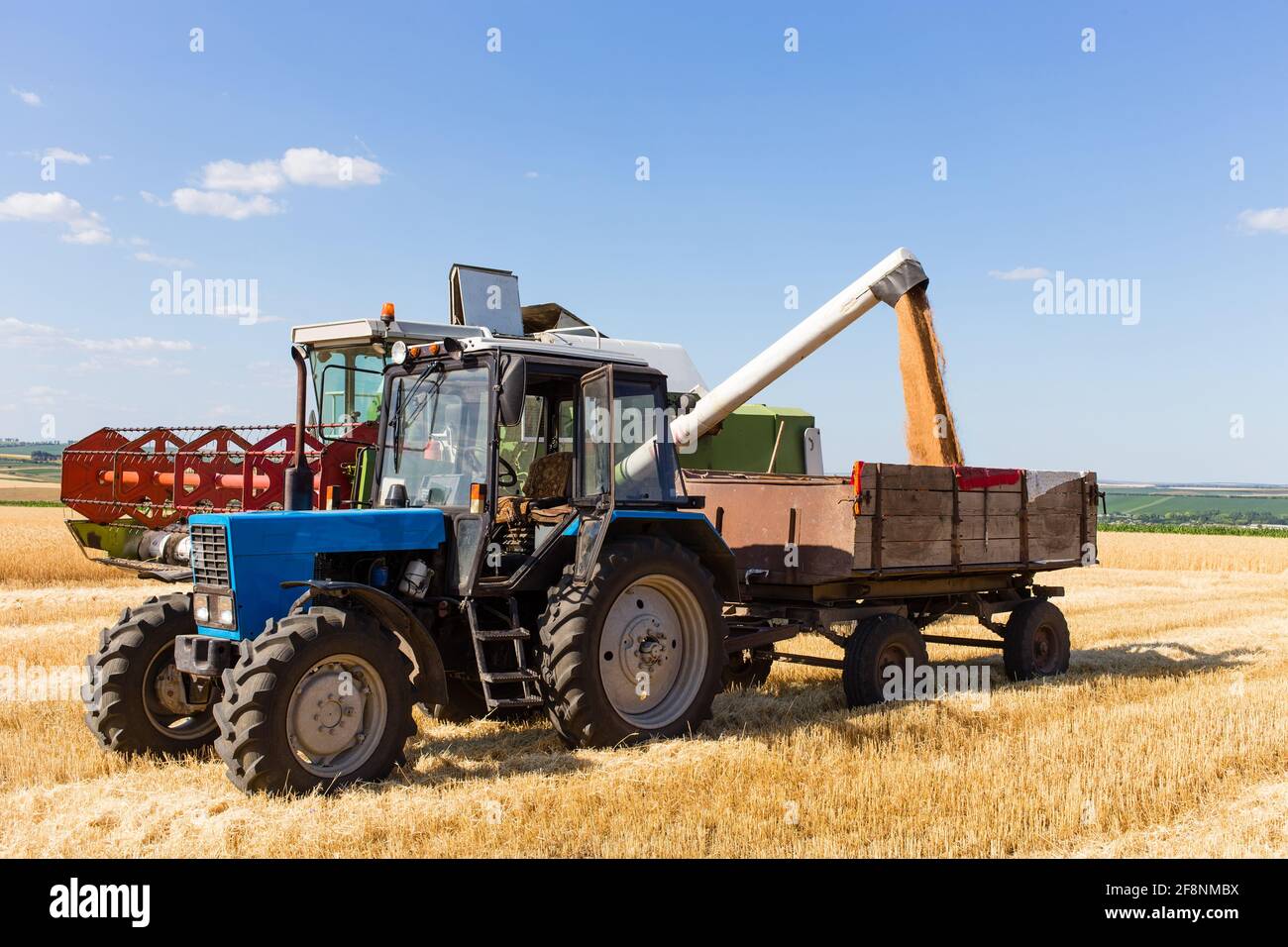 Harvest machine loading seeds in to trailer at summer day Stock Photo ...
