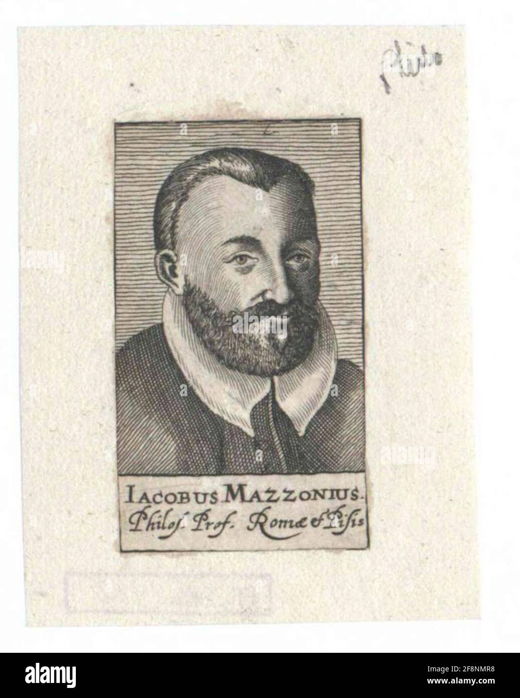 Mazzoni hi-res stock photography and images - Alamy