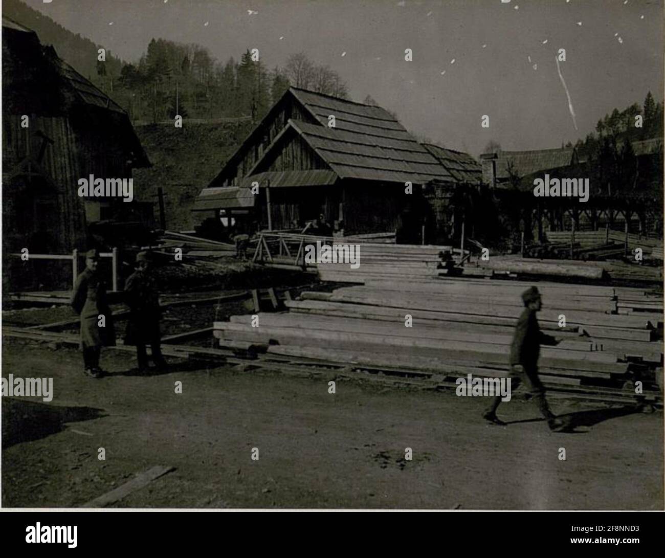 Tapping sawmill of the qu. department 10 in Tarvis Stock Photo - Alamy