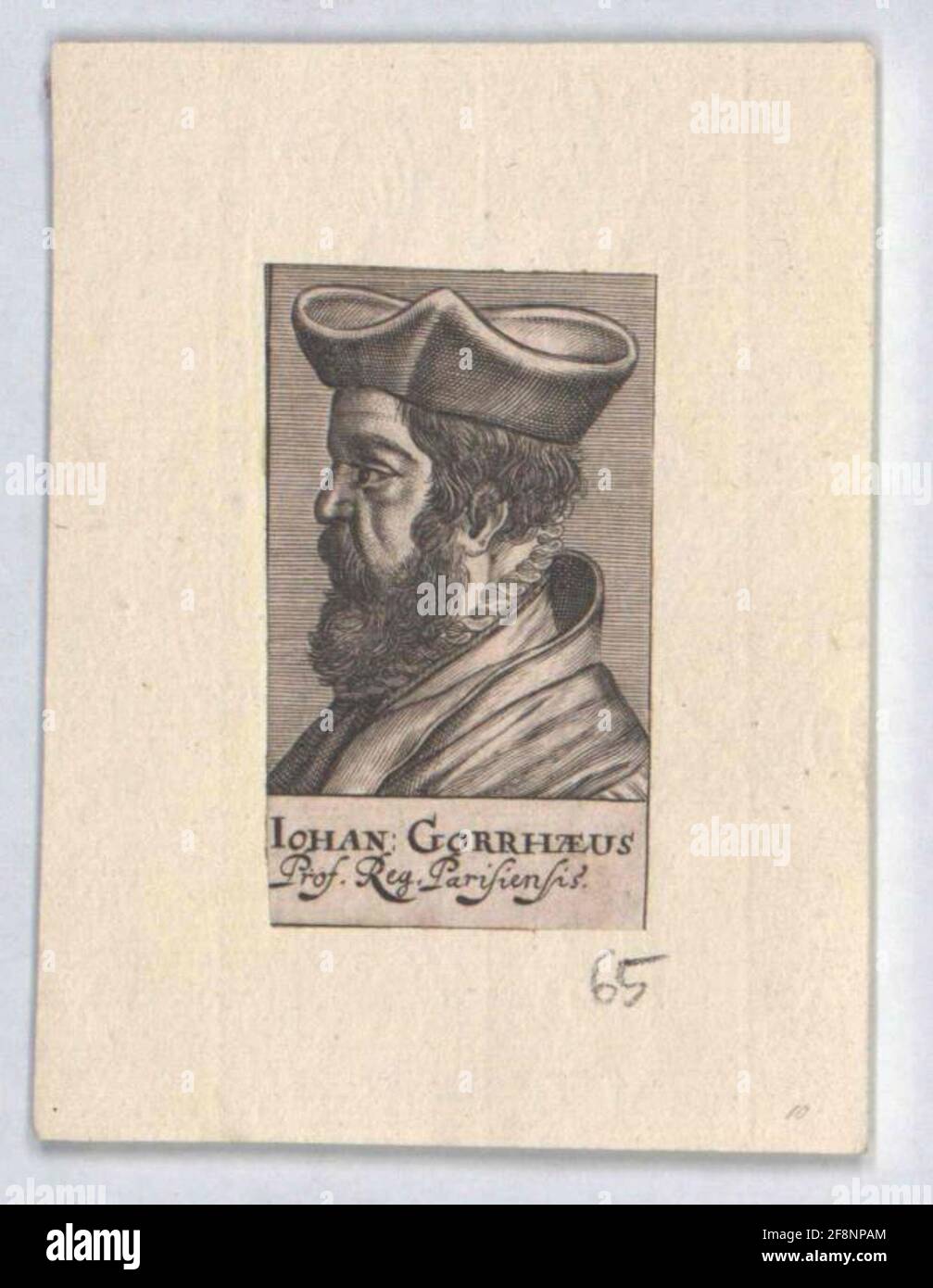 Gorris hi-res stock photography and images - Alamy