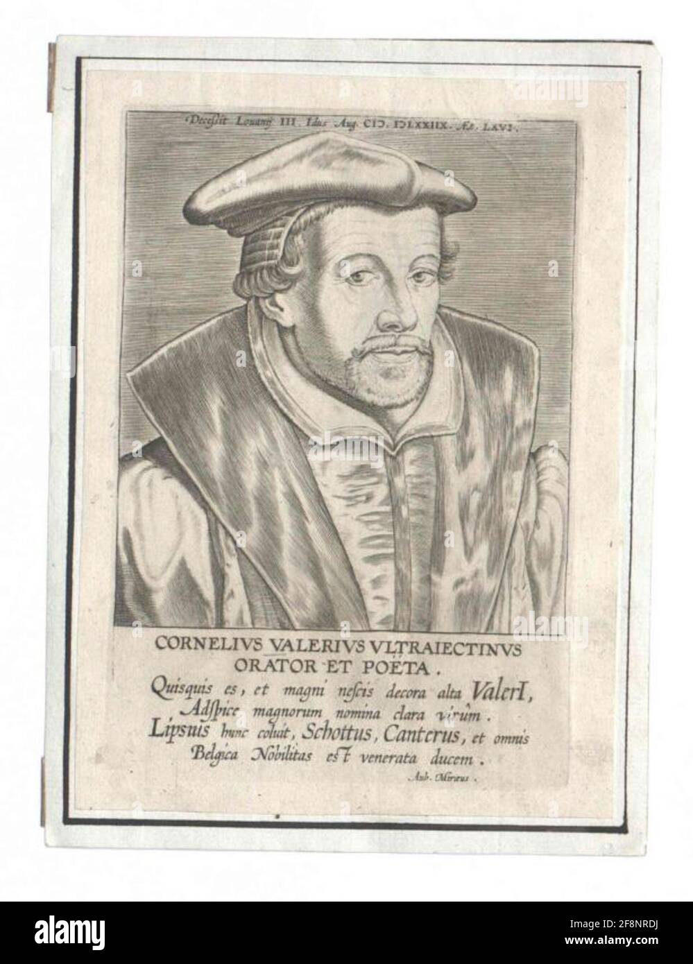 Wouters Cut Out Stock Images & Pictures - Alamy