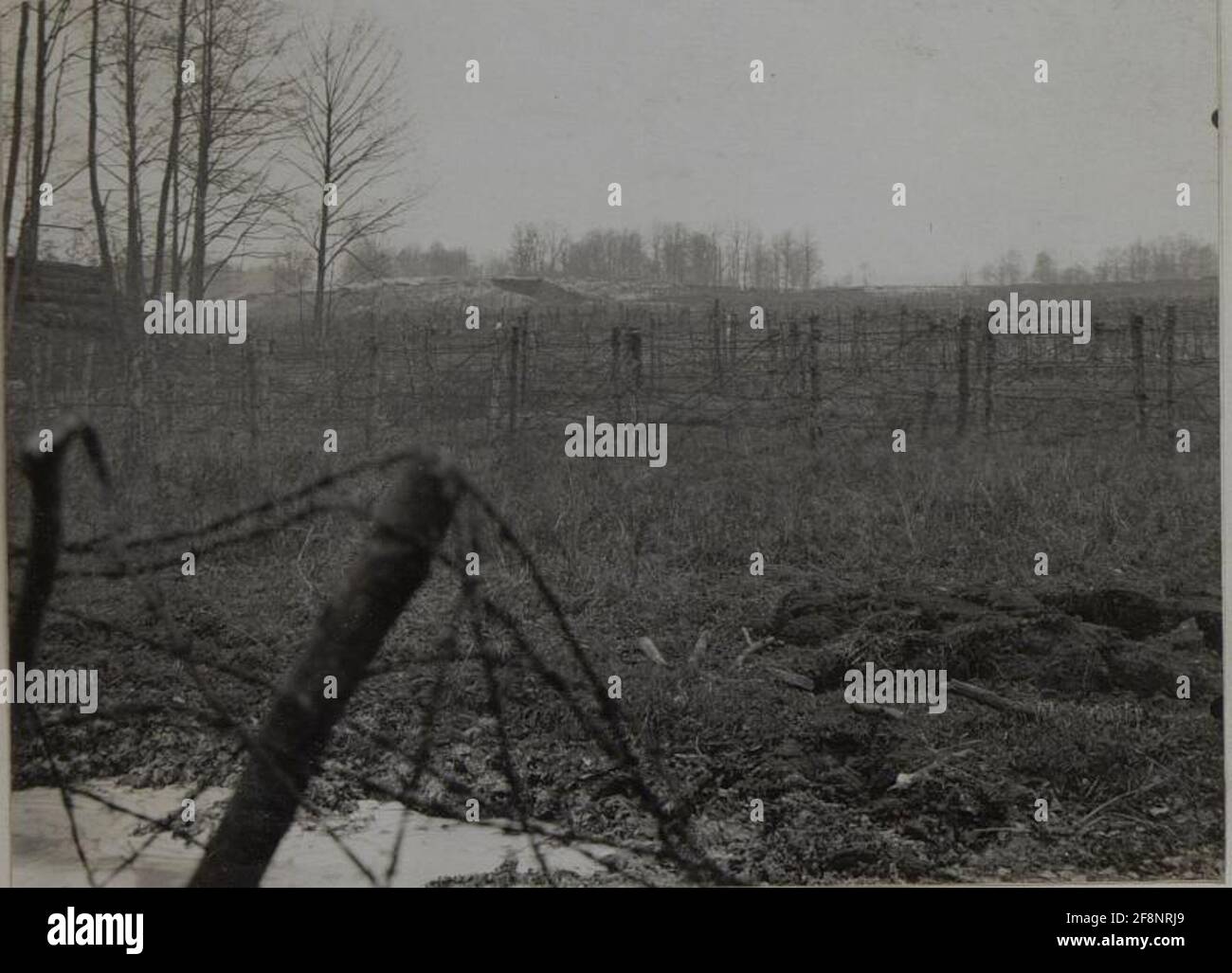 Battalion position hi-res stock photography and images - Alamy