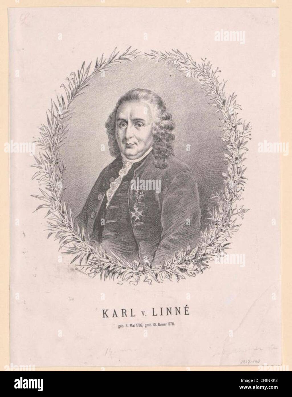 Linné, Charles of Stock Photo - Alamy