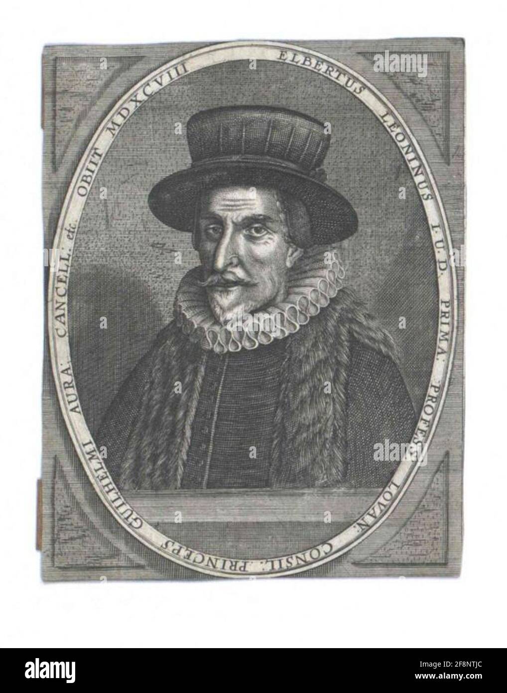 Leoninus hi-res stock photography and images - Alamy