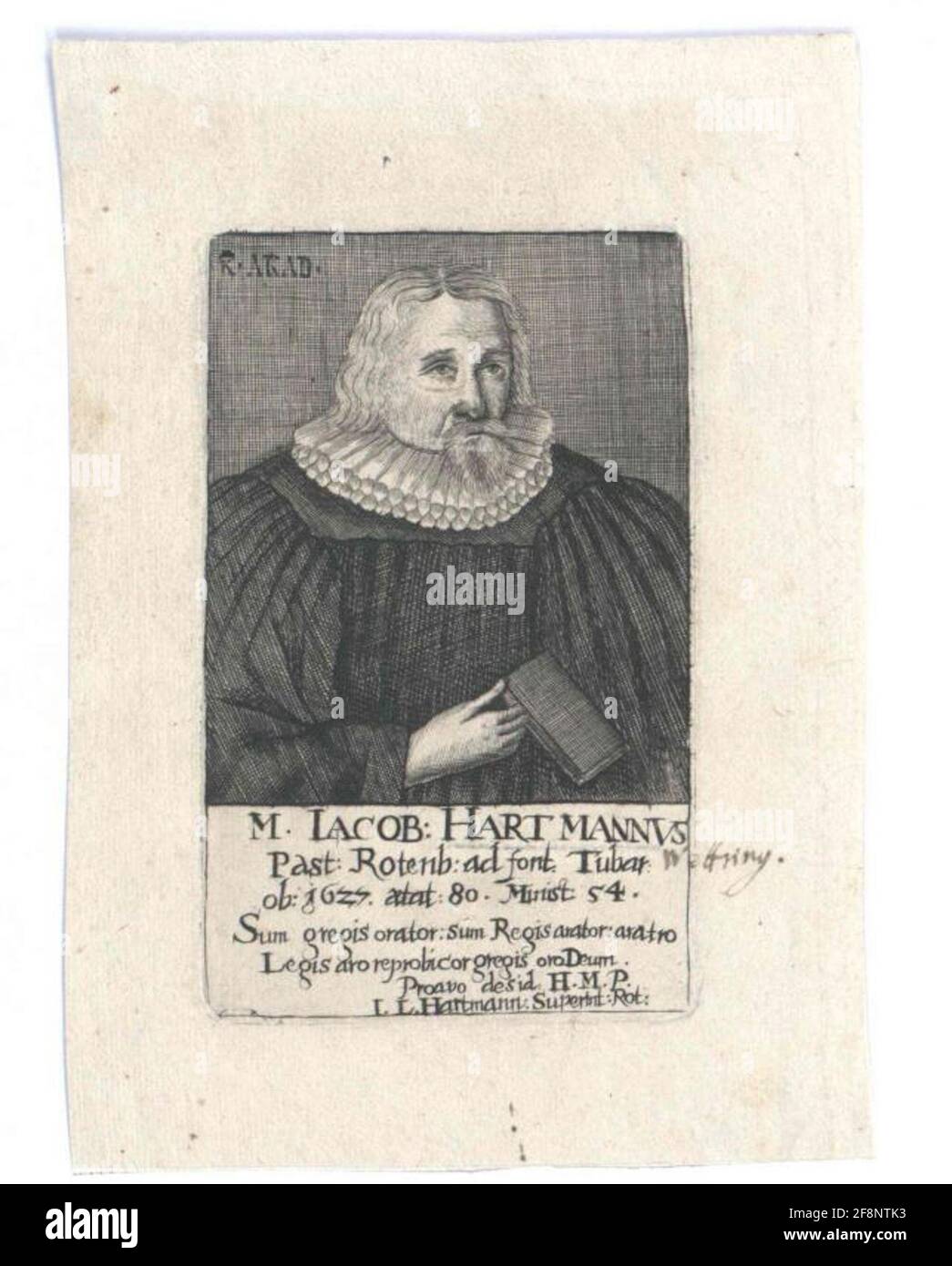 Hartmann Cut Out Stock Images & Pictures - Alamy