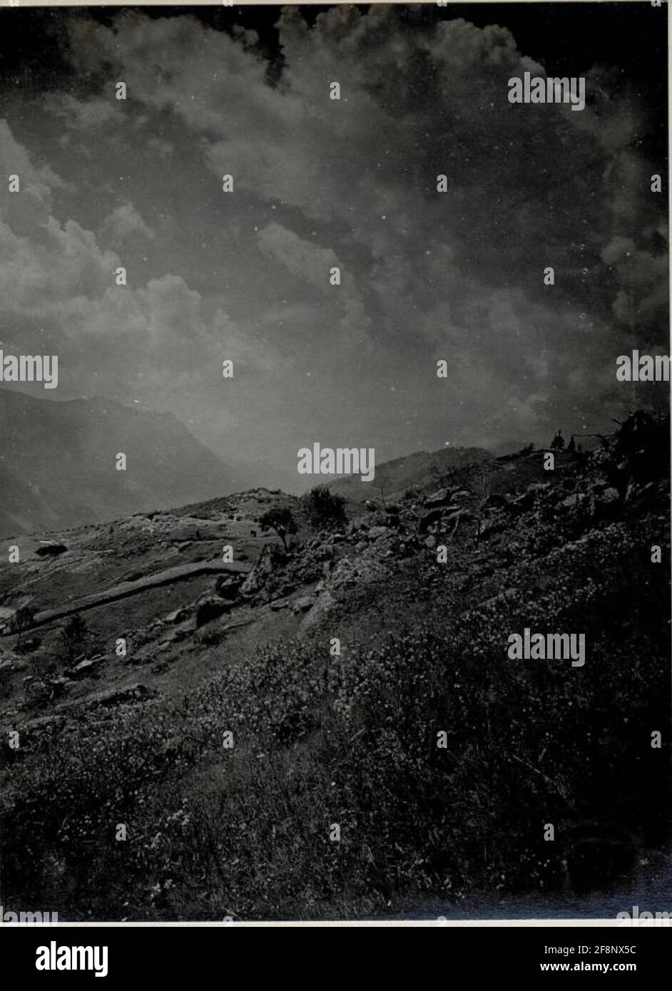 Position lock hi-res stock photography and images - Alamy