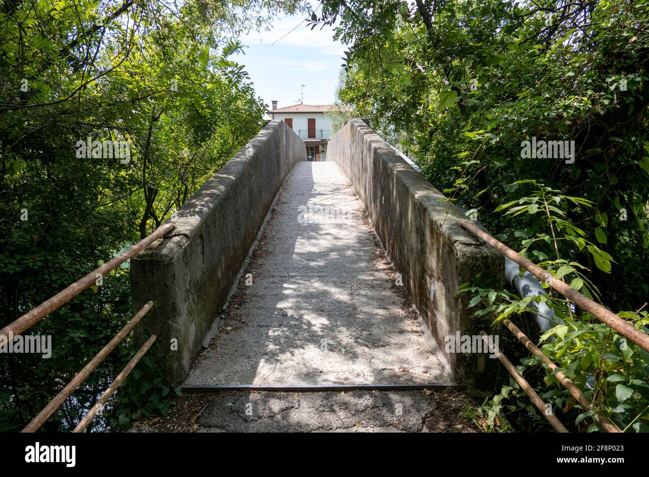 Narrow bridge surrounded by dense green trees in the background of a ...