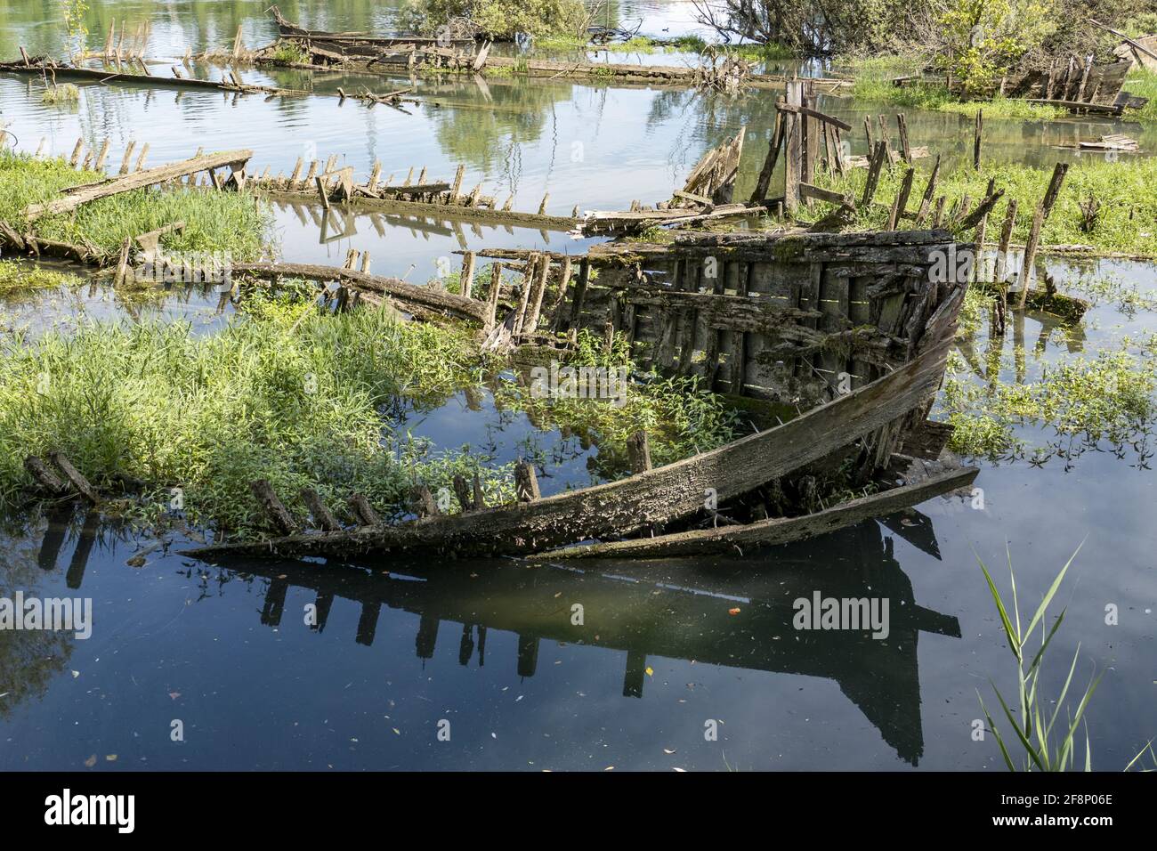 Wooden broken boat isolated on the reflective water with green trees ...