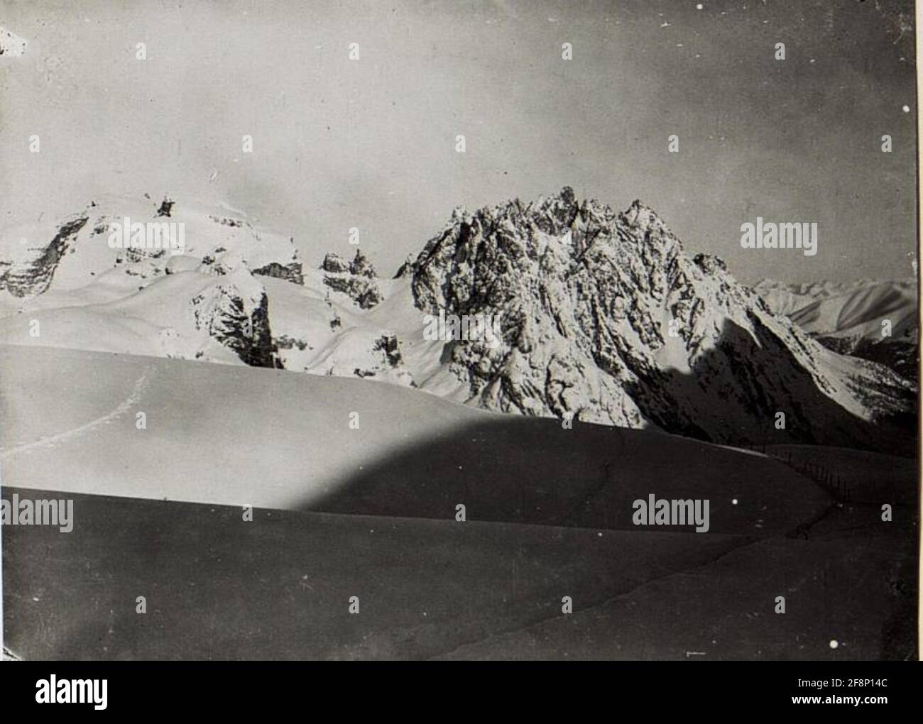 Bull heads hi-res stock photography and images - Alamy