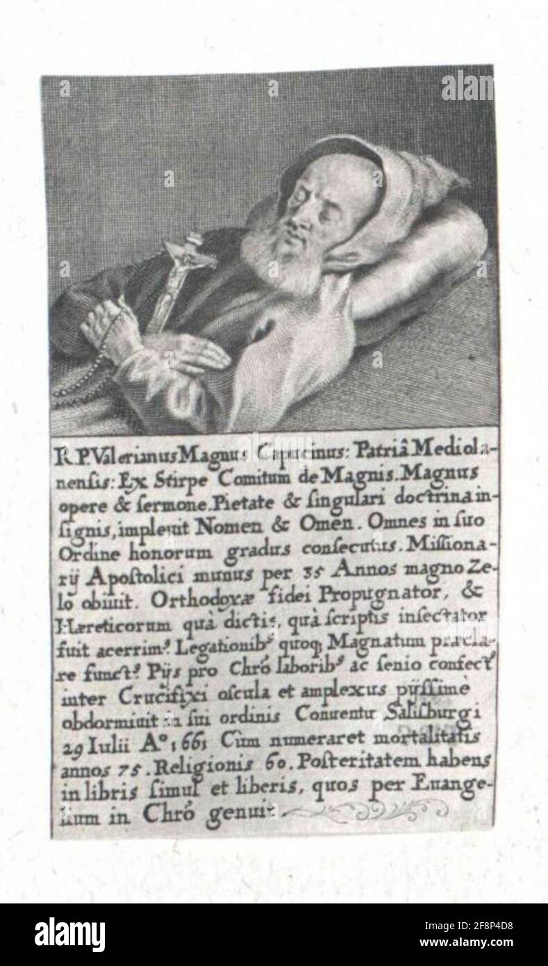 Magni Cut Out Stock Images & Pictures - Alamy