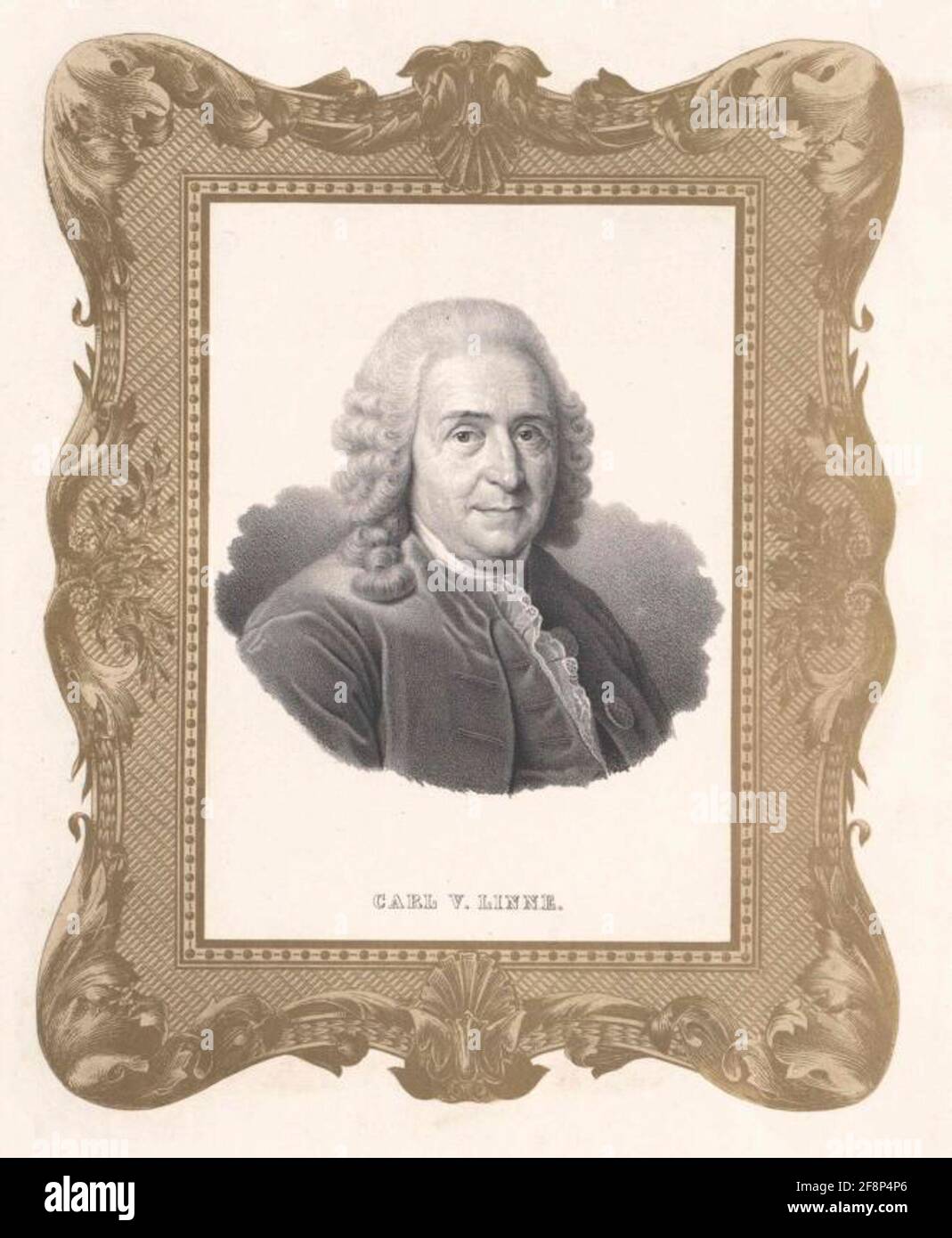 Linné, Charles of Stock Photo - Alamy