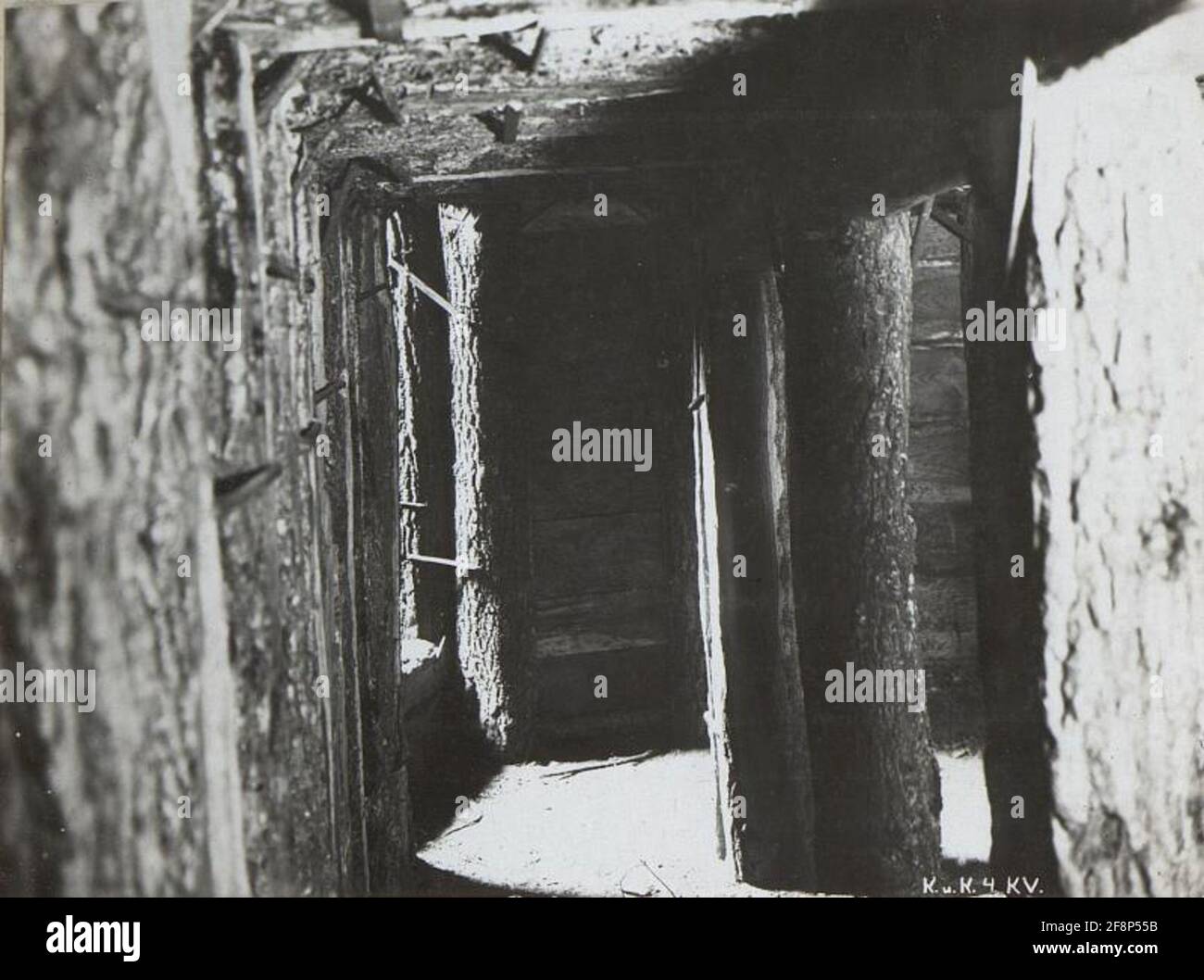 Fox hole hi-res stock photography and images - Alamy