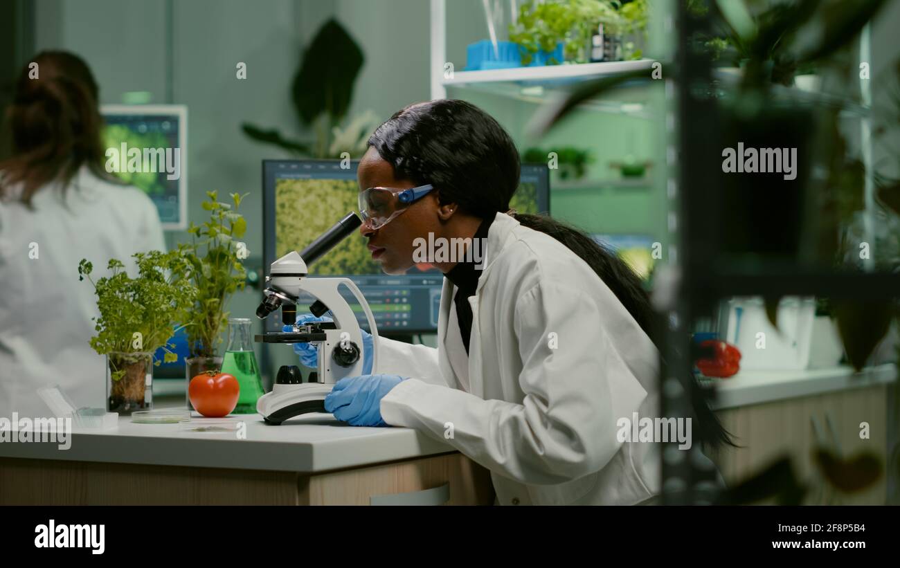 Biologist woman examining biological slide for medical expertise using ...