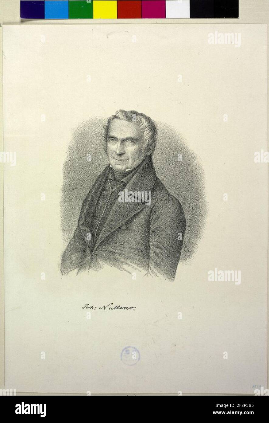 Natterer hi-res stock photography and images - Alamy