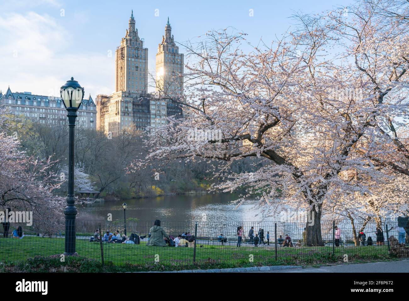 New York City Central Park in the Spring Stock Photo - Alamy