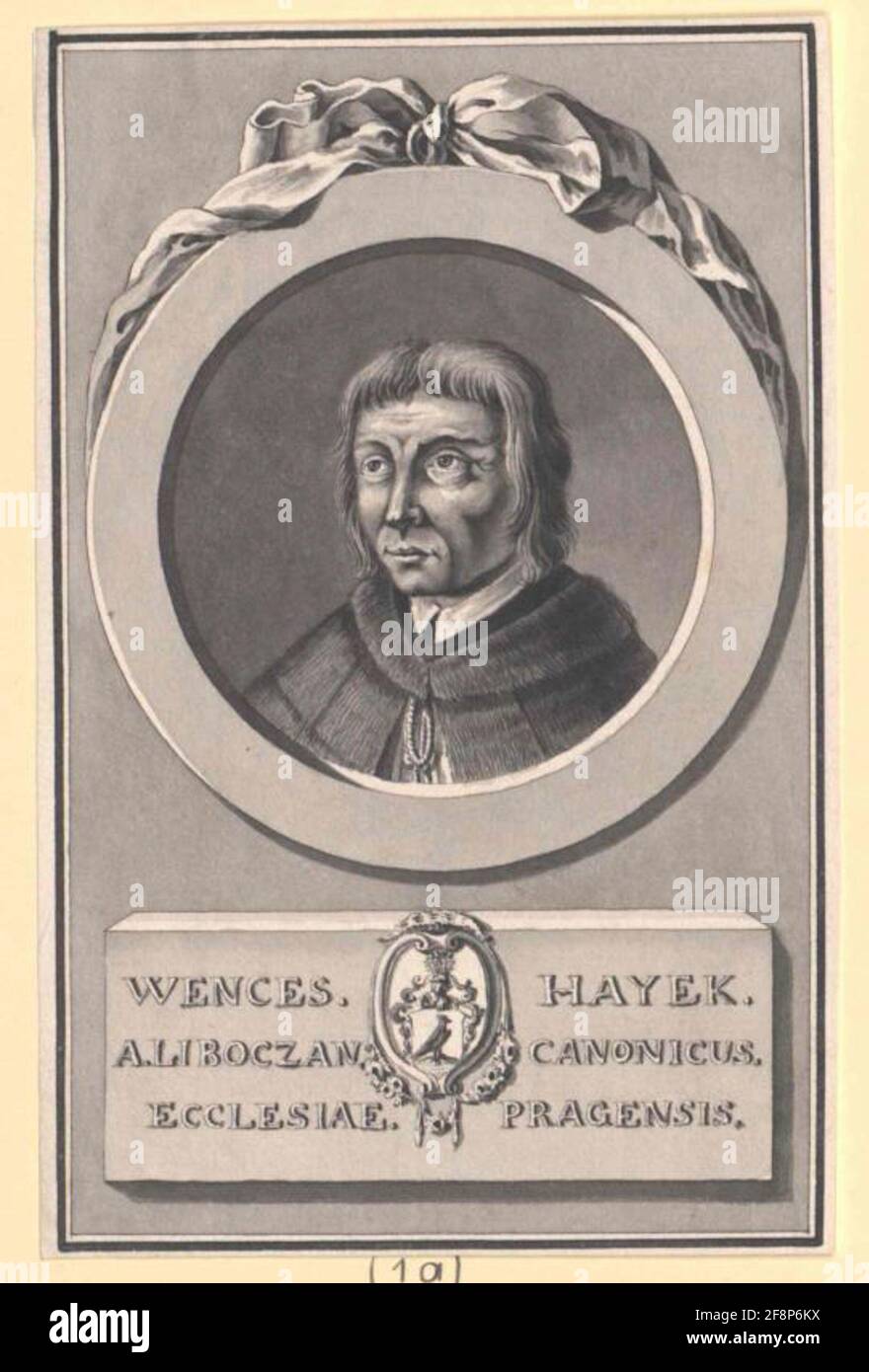 Hajek hi-res stock photography and images - Alamy